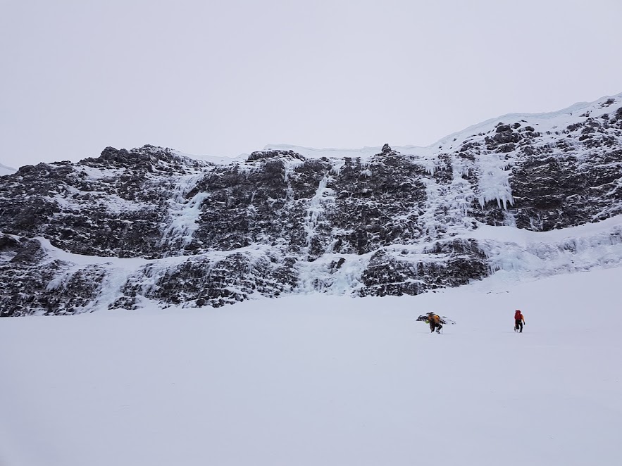 Hvítur refur | Ísalp