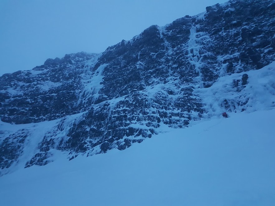 Hvítur refur | Ísalp